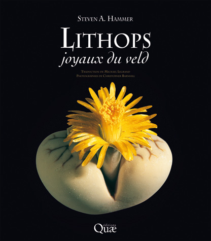 Lithops - Joyaux du veld - Steven Hammer (EAN13 : 9782759210084 ...