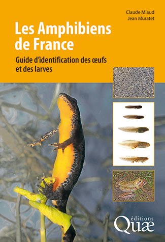 Liste Des Amphibiens A Comprehensive Update On Helminth Parasite
