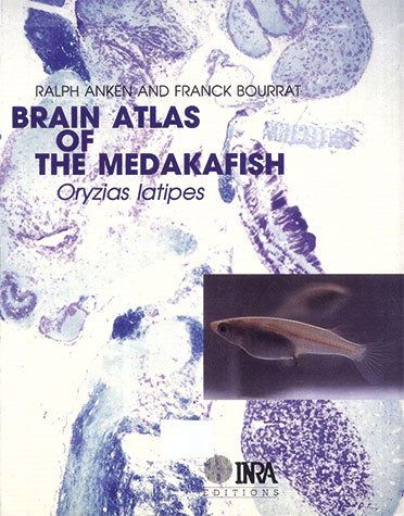 Brain atlas of the medakafish - - Ralph Anken, Franck Bourrat (EAN13 ...