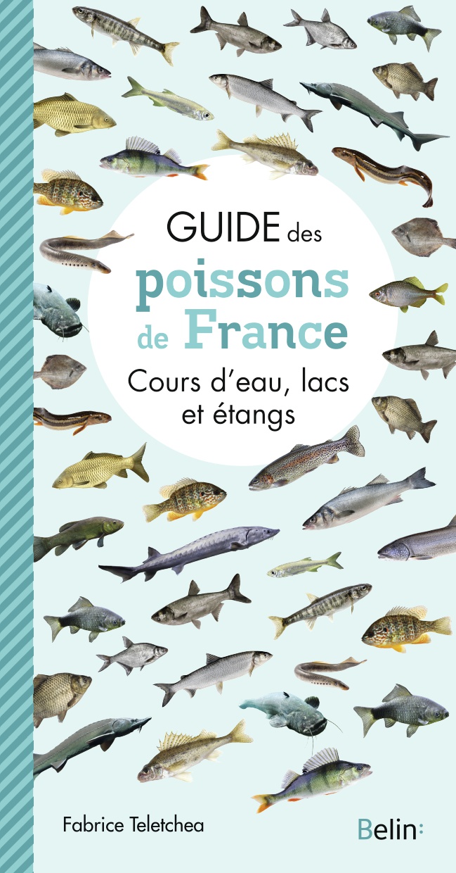 Guide des poissons de France - Cours d'eau, lacs et étangs - Fabrice Teletchea (EAN13 ...