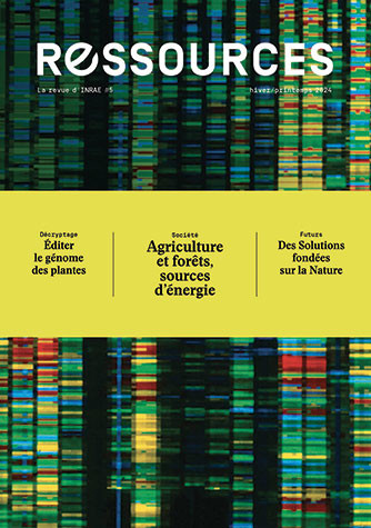 Ressources #5 - La revue d’INRAE - (EAN13 : 9782759238323) | Librairie ...