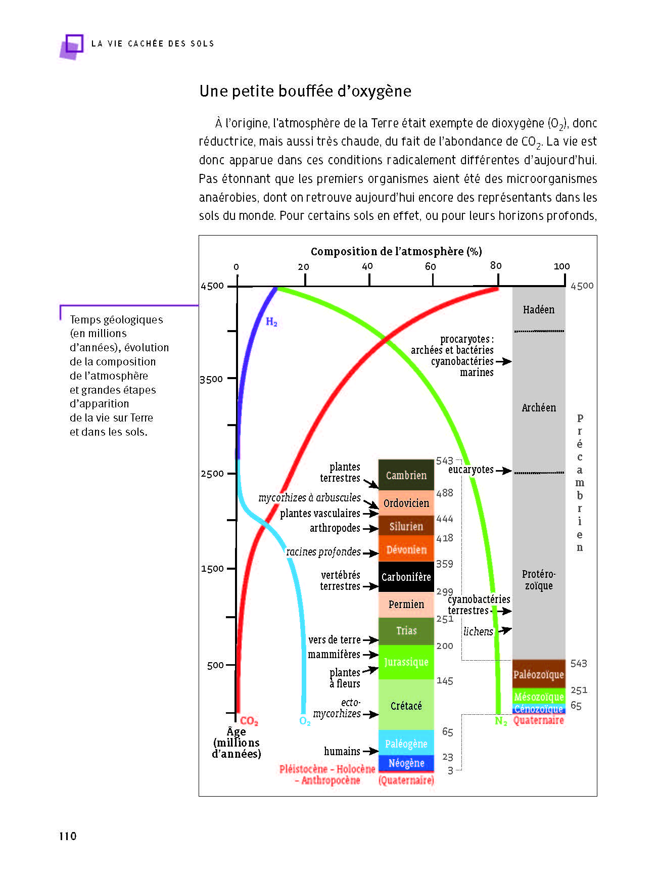 La vie cachée des sols - - Philippe Hinsinger (EAN13 : 9782759238989 ...