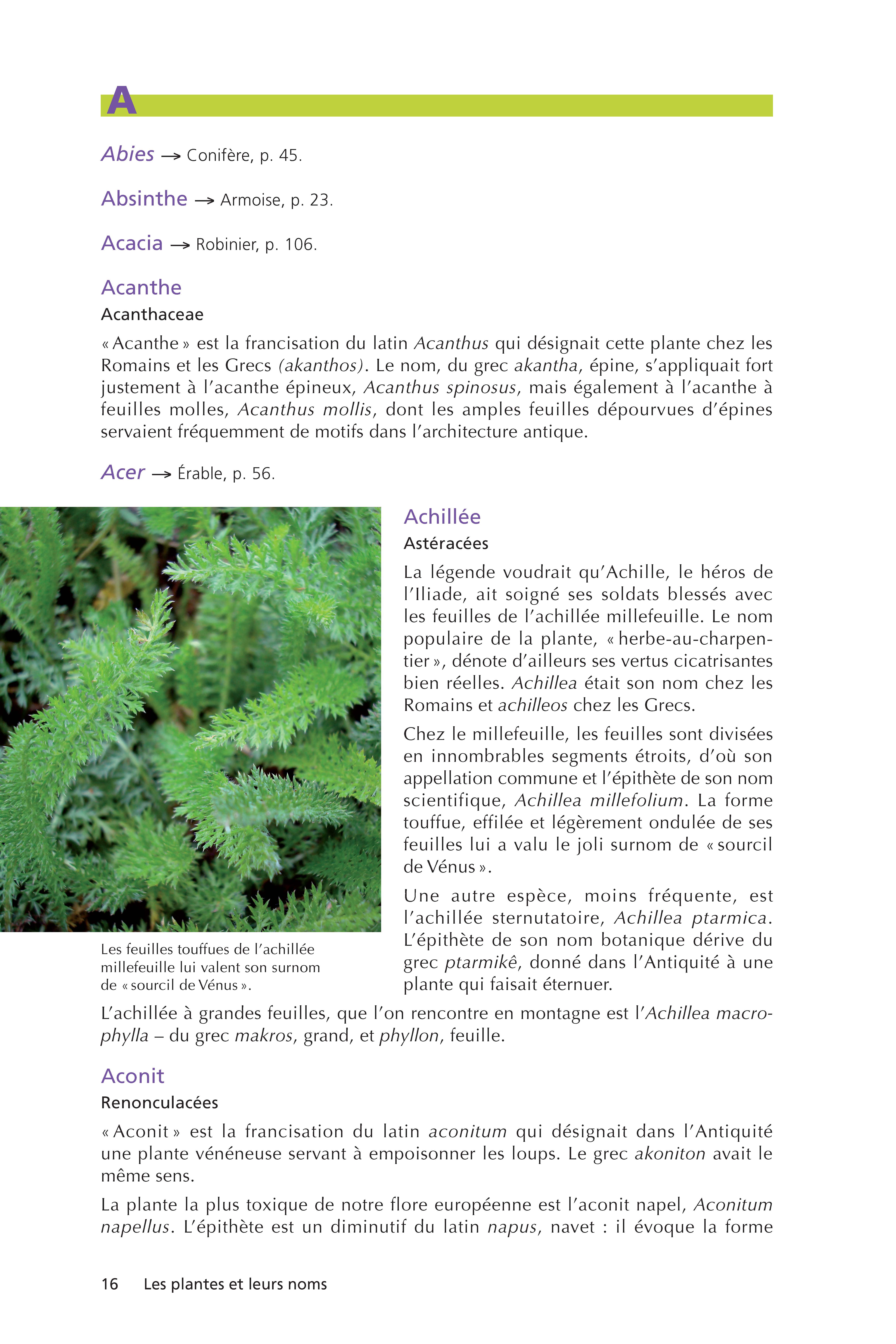 Les plantes et leurs noms - Étymologies insolites - François Couplan ...